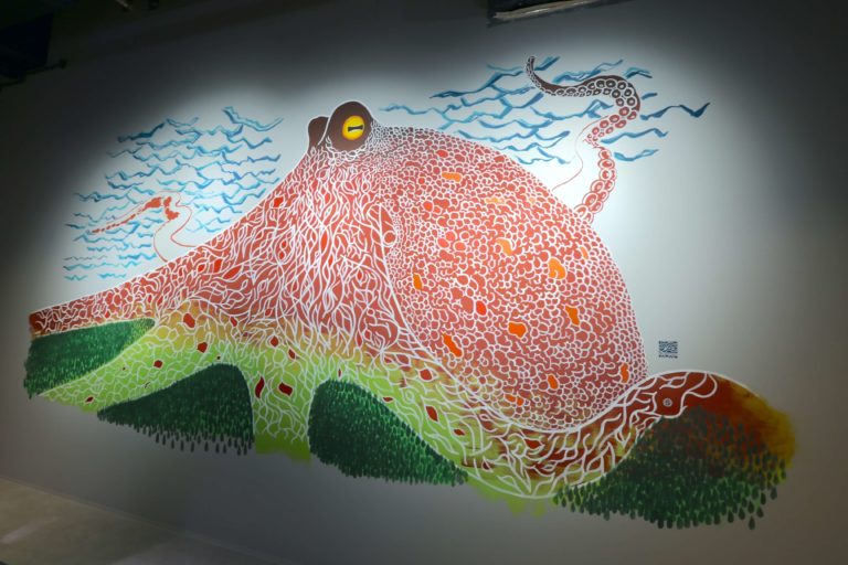 アトア（átoa）の見どころ徹底解説！｜所要時間・お土産・グッズ・レストラン | 水族館.com